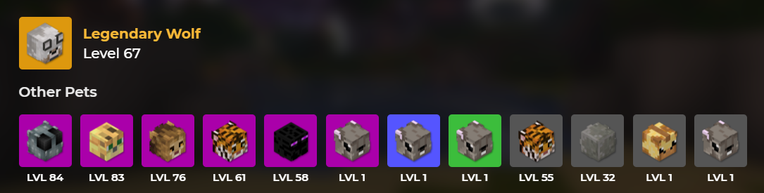 Selling - Hypixel skyblock account High stats (sold) | EpicNPC Marketplace